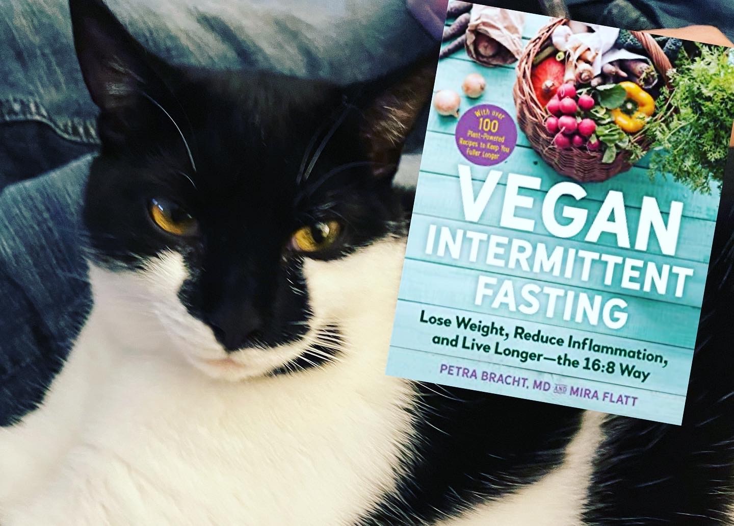 Vegan Intermittent Fasting Book Review 2024 Vegan Intermittent Fasting Book Review 2024